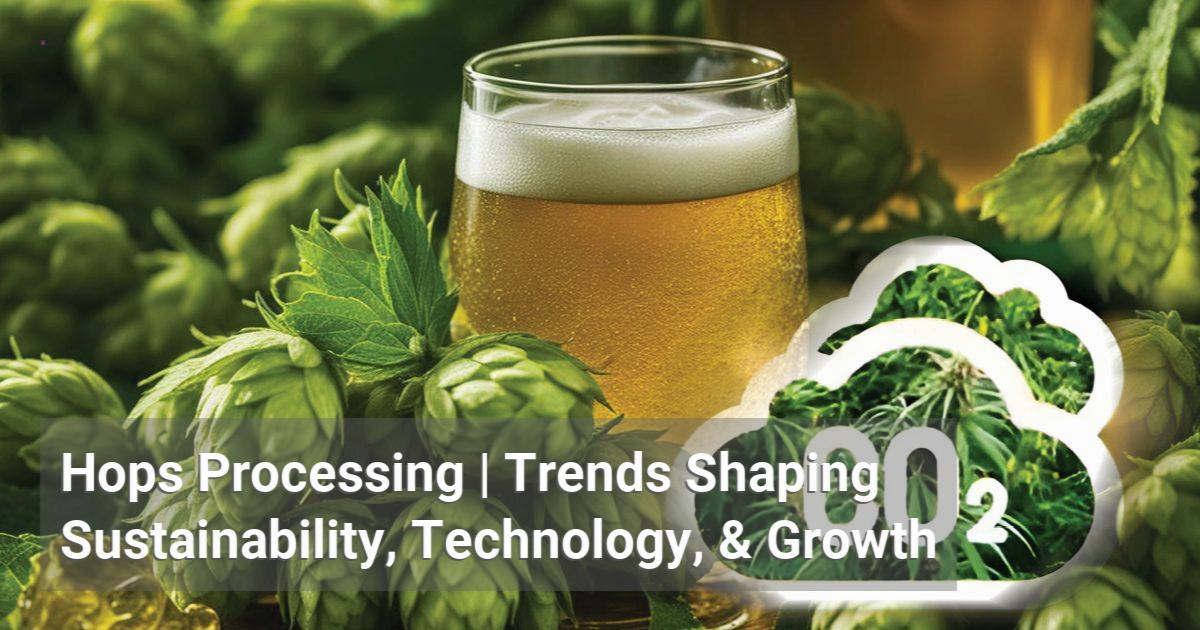 Hops Processing | Trends Shaping Sustainability, Technology & Growth